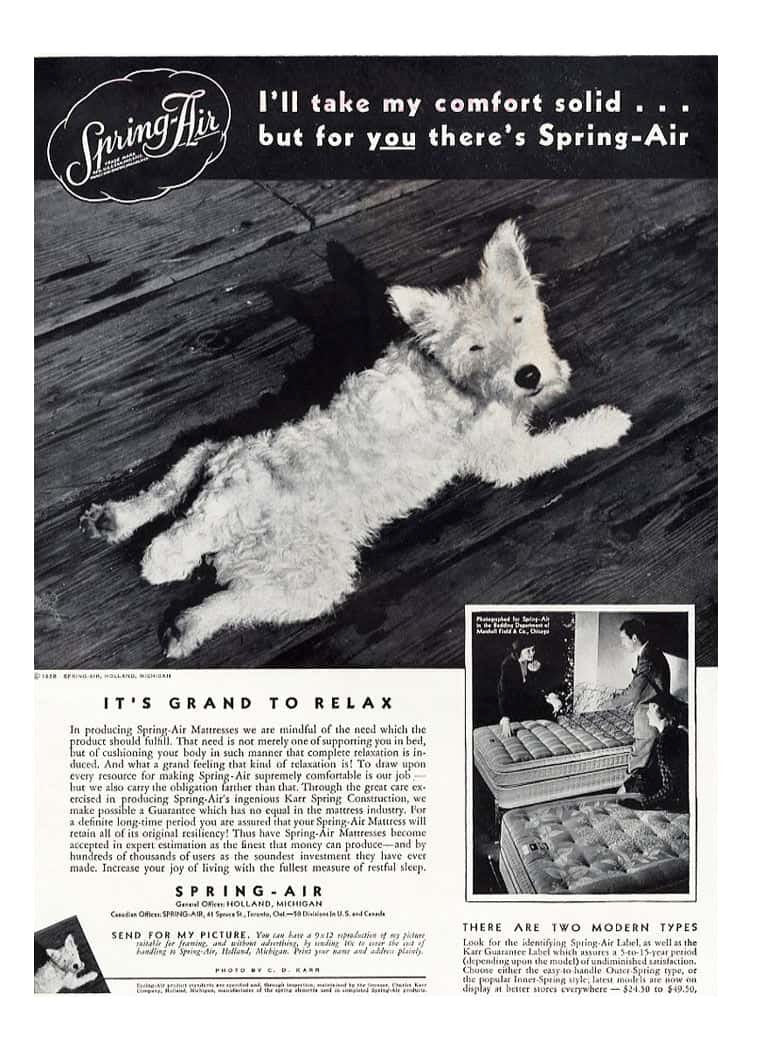 About Us – Spring Air